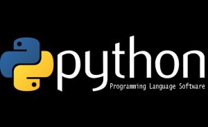 Modern Coding Language Wars, PHP vs Python vs Ruby - N4M (News4masses)